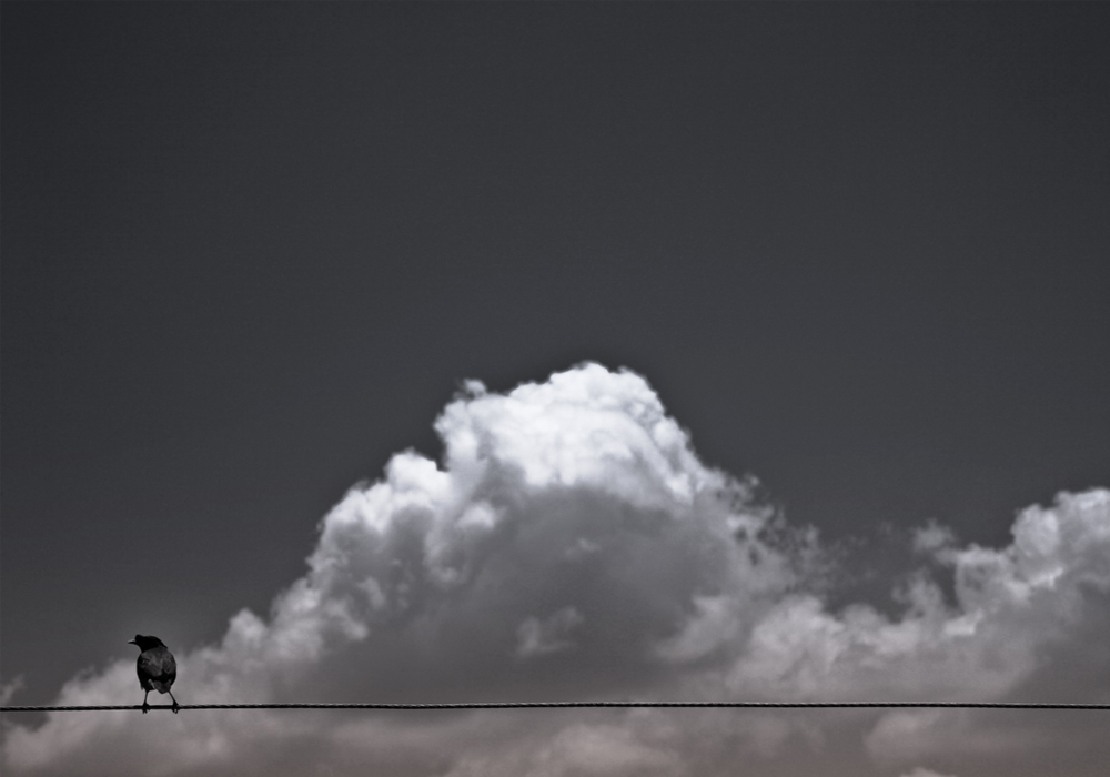 The Power of Solitude and Why Being Alone Is Important The Power of Solitude and Why Being Alone Is Important